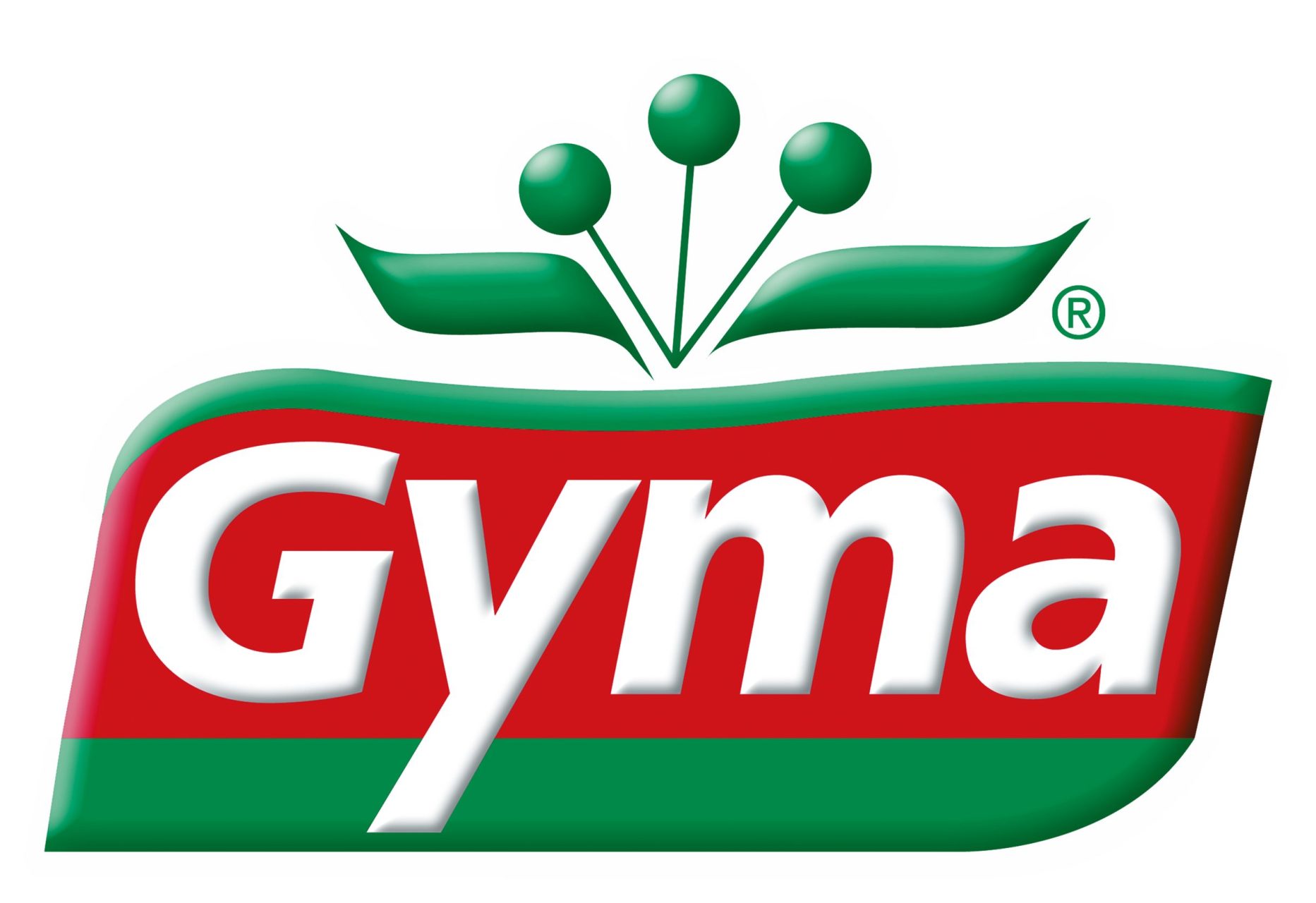 Le club sandwich GYMA poulet curry | BACK EUROP FRANCE